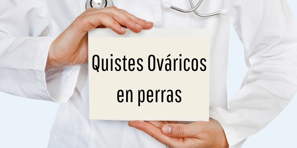 Quistes ováricos